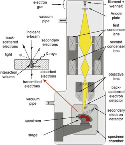 Electron Microscopy – NanoSchool